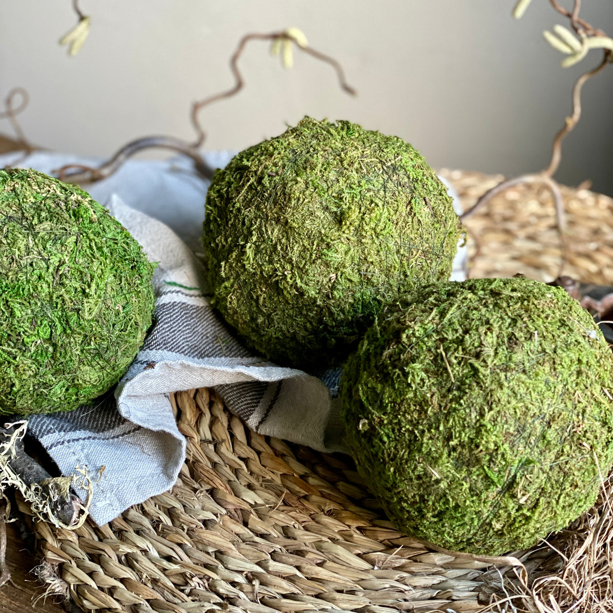 Three Dried Moss Spheres || Balls – The Florist's Daughter